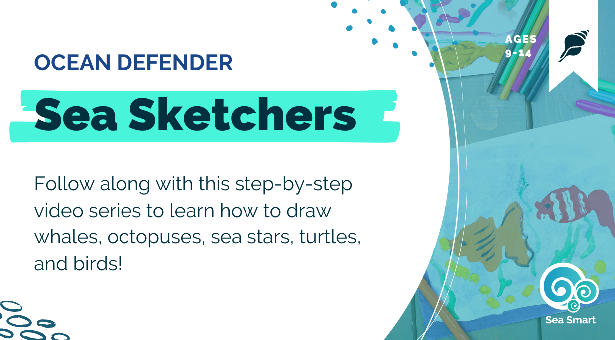 Online Educational Programs for Families | Sea Smart