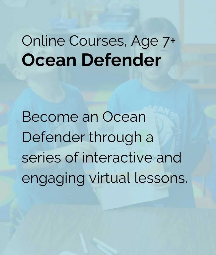 Ocean Conservation Programs | Sea Smart