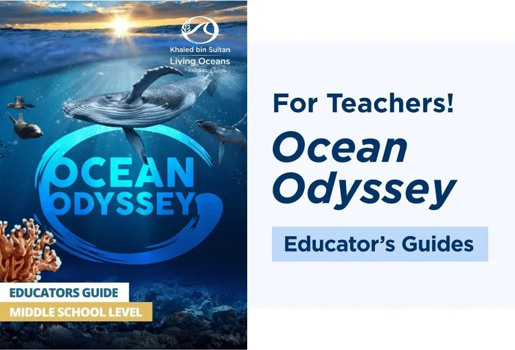 Free Educator Resources | Sea Smart