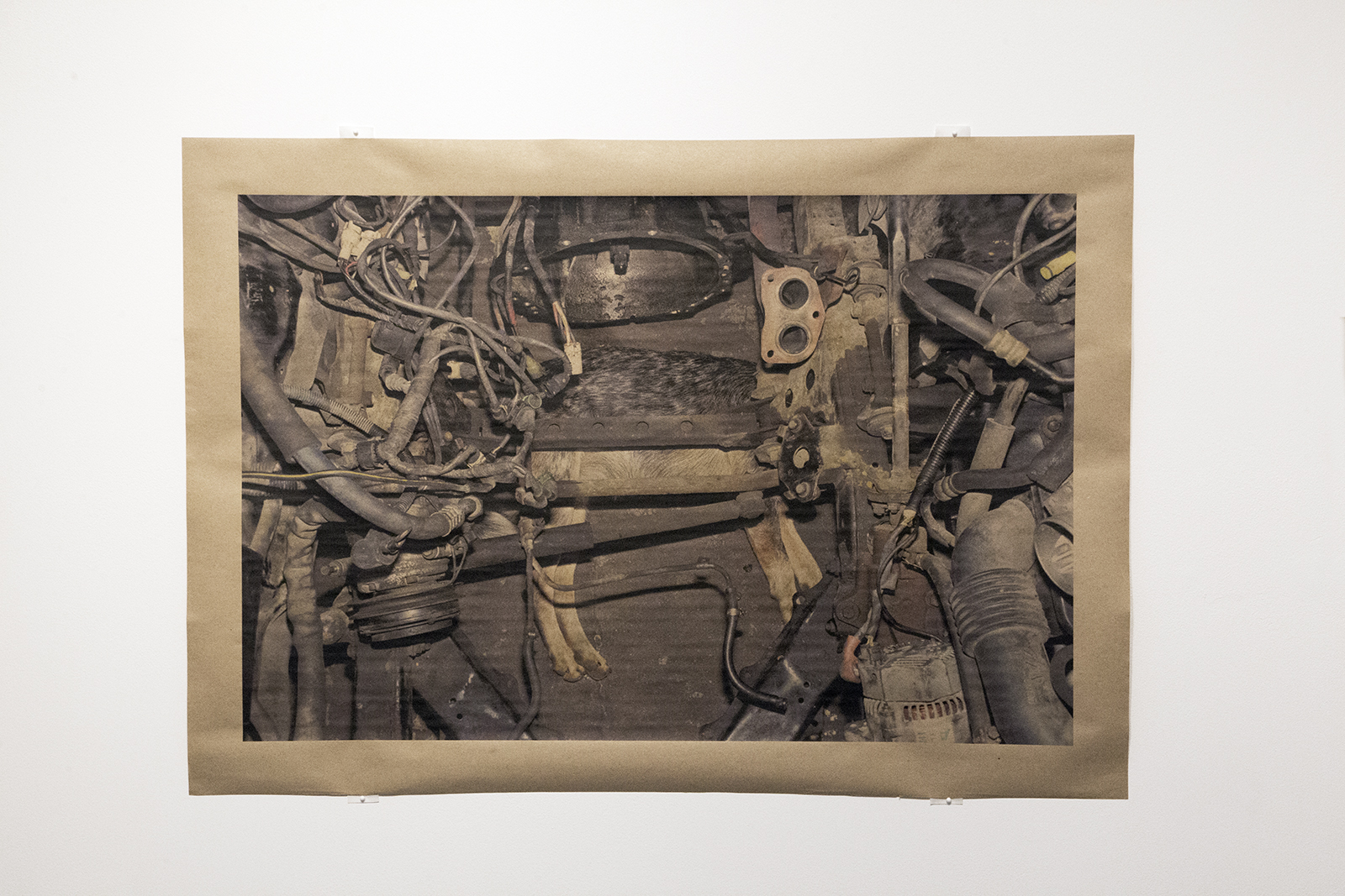 Mike Brodie photography exhibition — Public Land Store