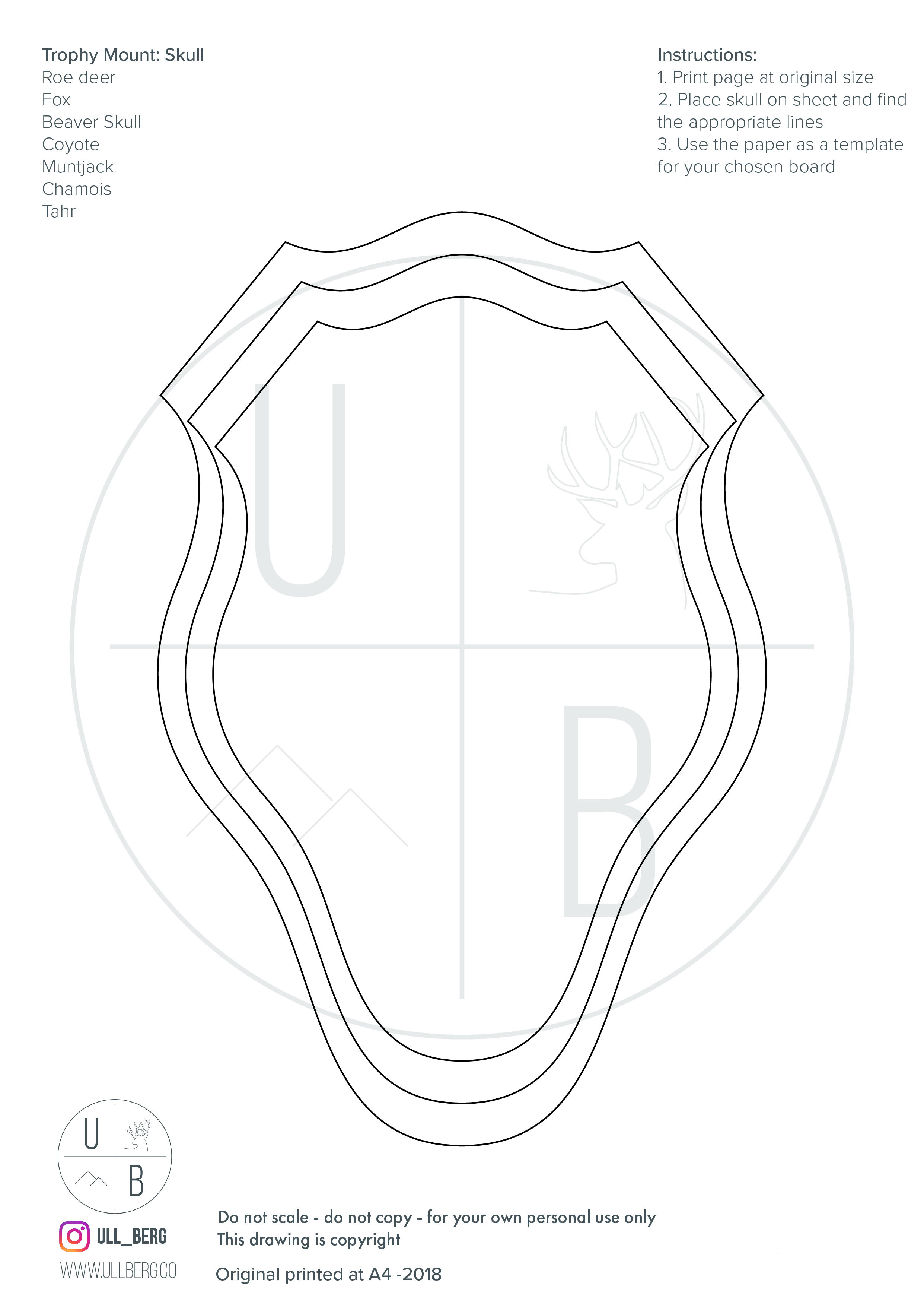 Deer Skull Mount Drawing
