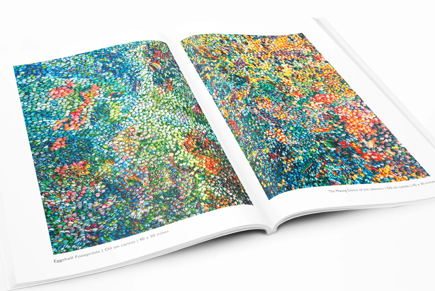 Llewelyn Xavier — Darwin Guard