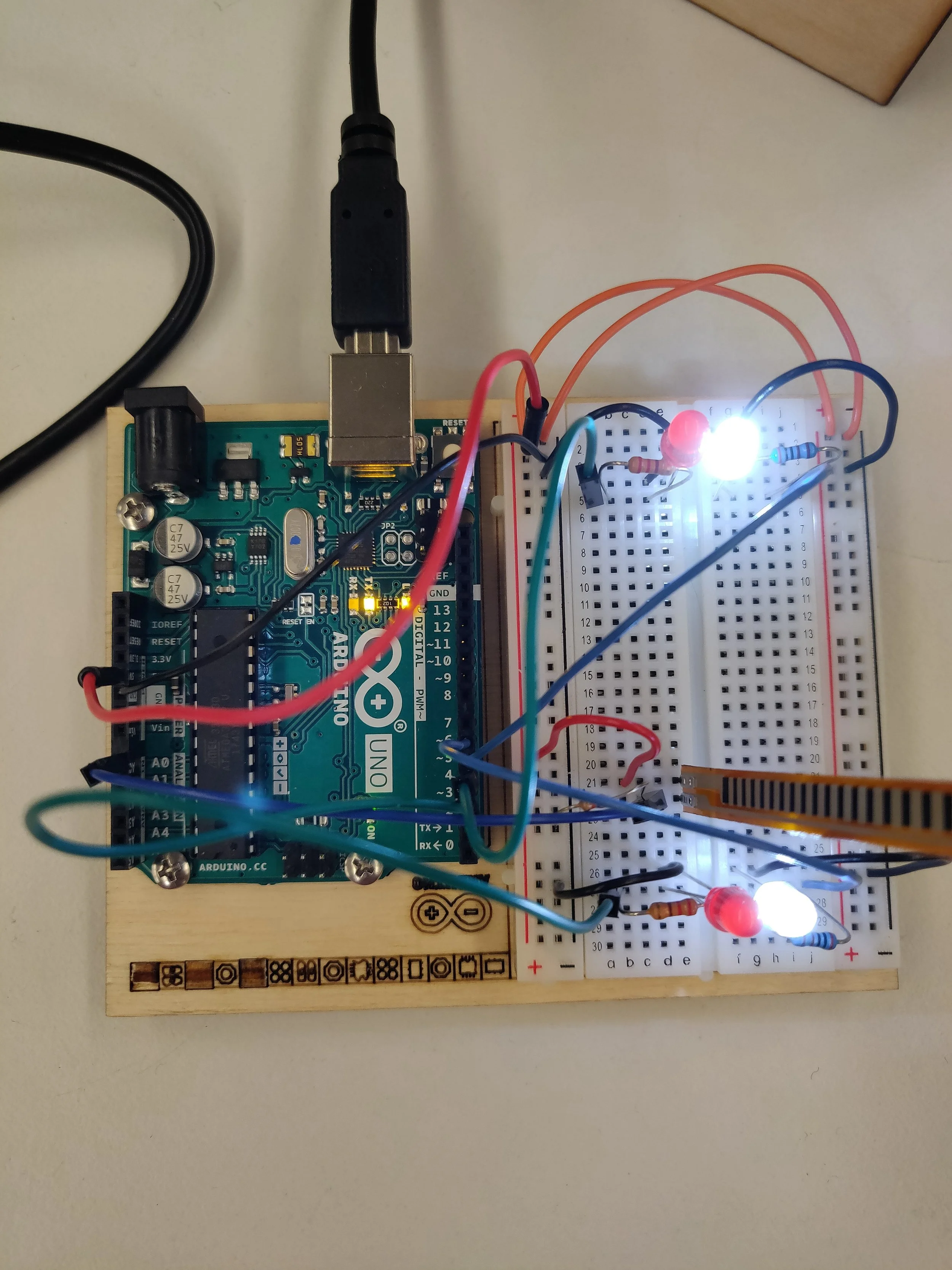 Verónica Alfaro — Week 3: Angry/In Love Sloth