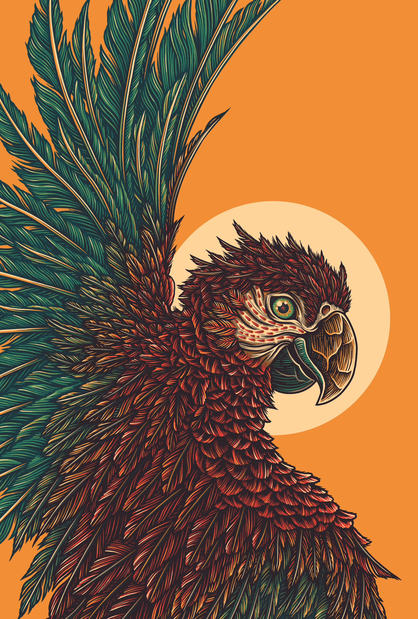 WINGIN' IT — LUKEMART.COM
