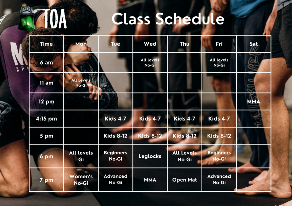 Schedule - Mt Barker — Toa Brazilian Jiu-Jitsu