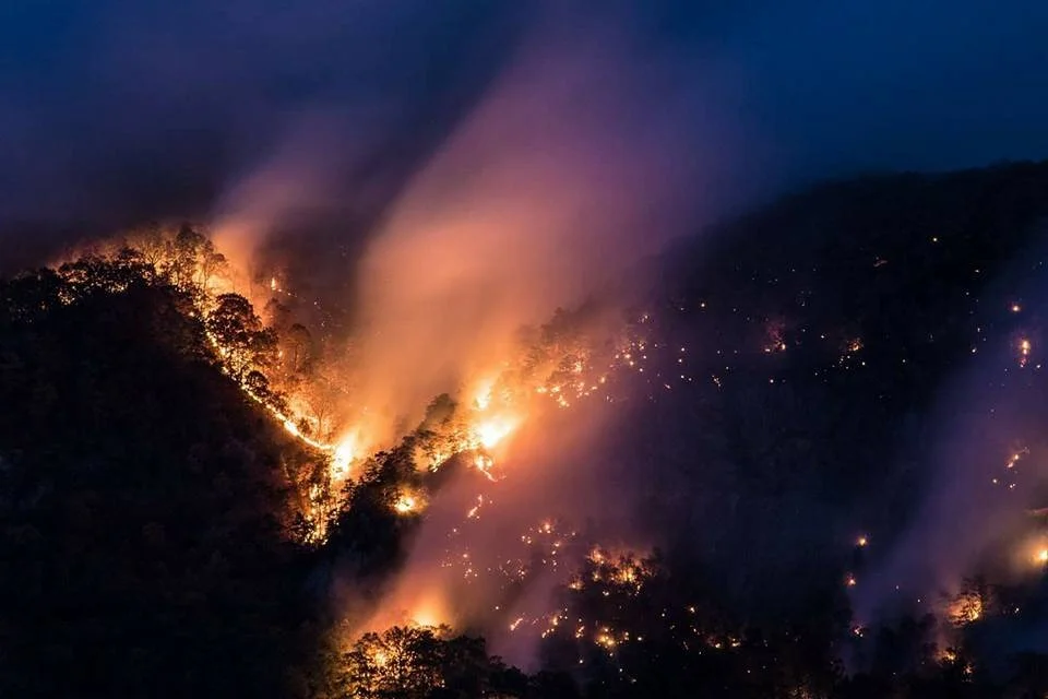 WILDFIRE FOREST KEEPER