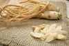 Why Is A Single Wild Ginseng Root Worth Over $400K? — Wu Healing