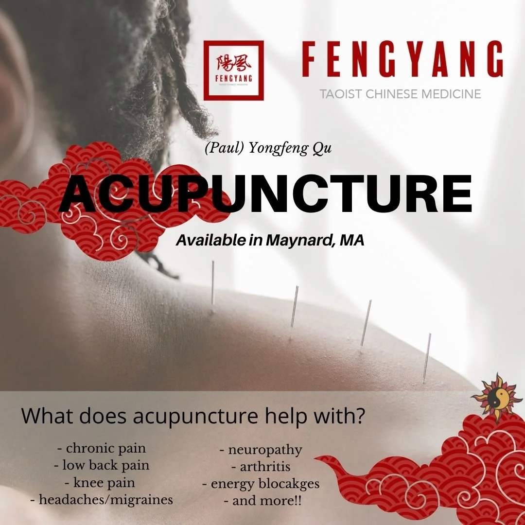 Why Paul (Yongfeng) Qu's Lineage is an asset to humanity — Wu Healing