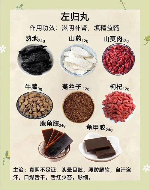 Mechanism of Zuogui Wan in Regulating Chong and Ren Vessels for ...