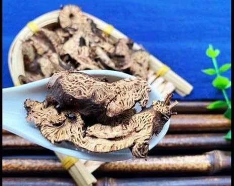 Learn About Chinese Herbs -Sheng Ma (Rhizoma Cimicifugae)- — Wu Healing
