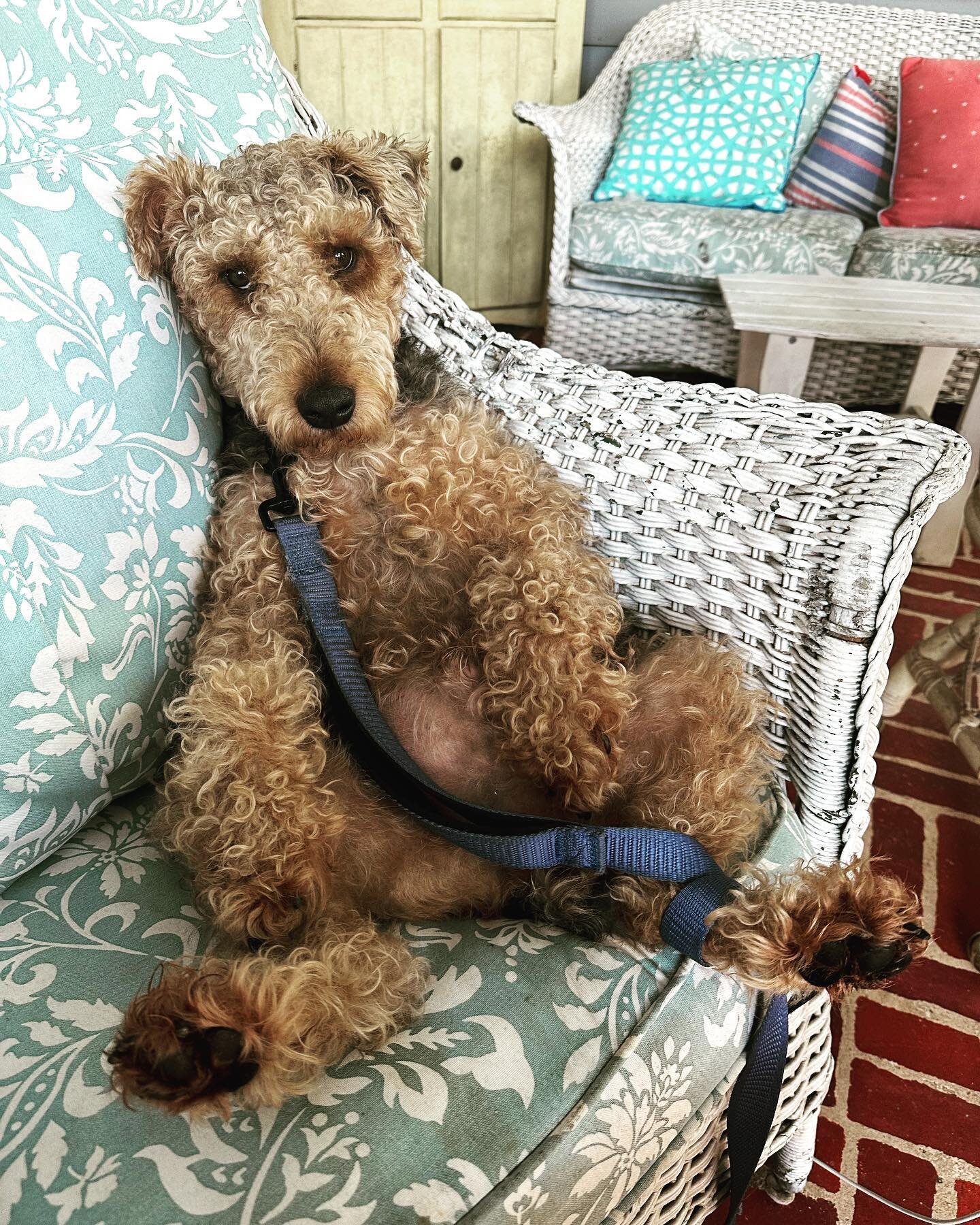 Meet the Team — Kerry: