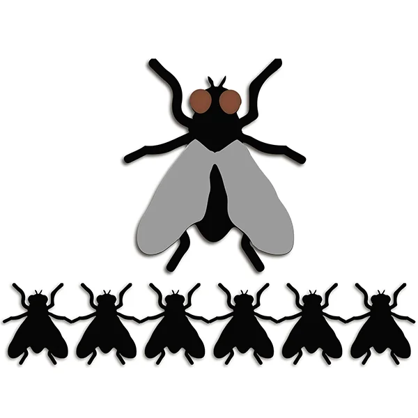 JLD-House Fly Border — JamieandJenn.com