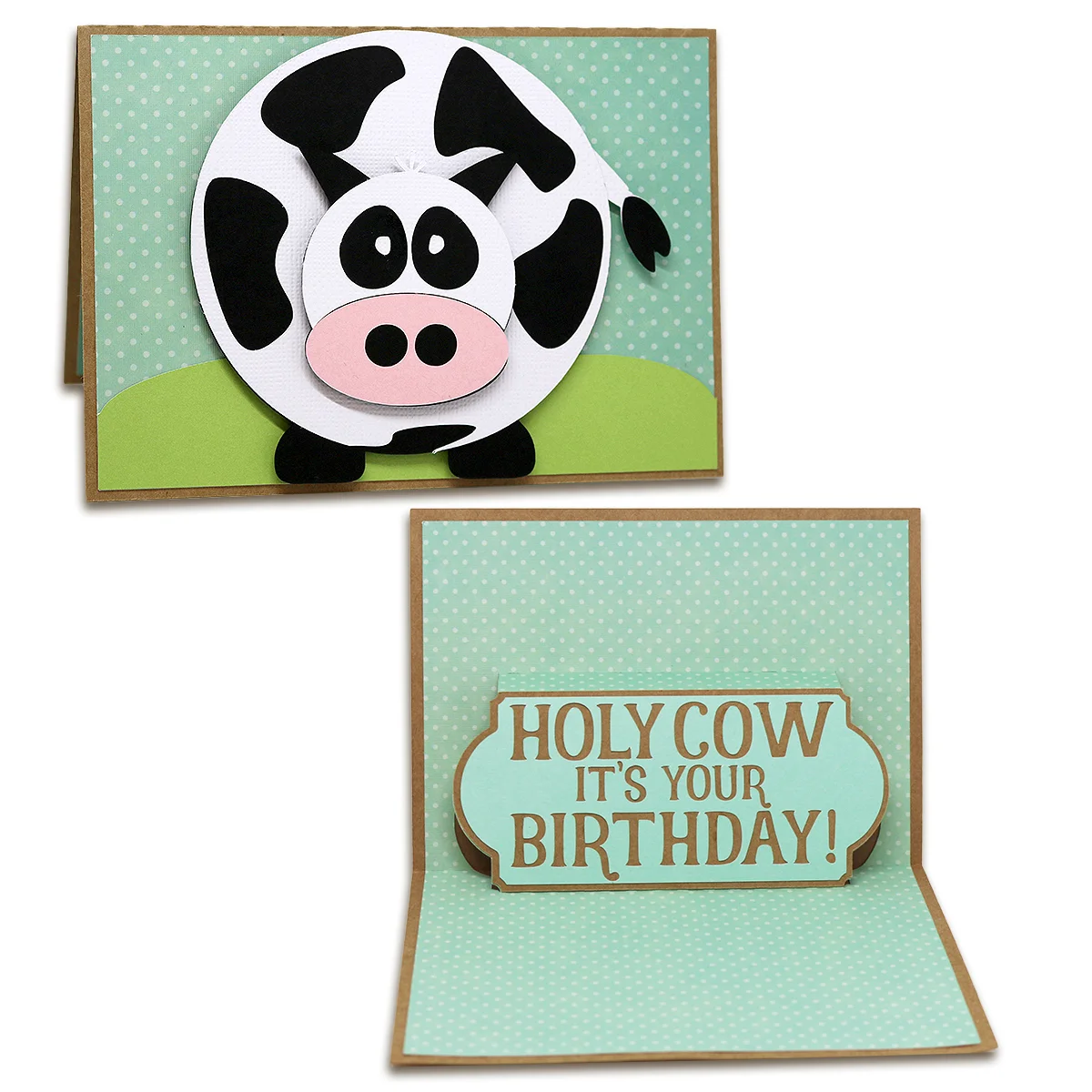 JLD-A2 Holy Cow Pop-Up Birthday Card — JamieandJenn.com