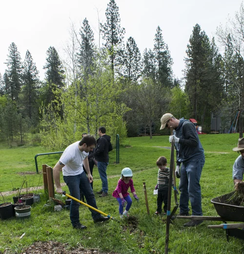 Spokane Edible Tree Project