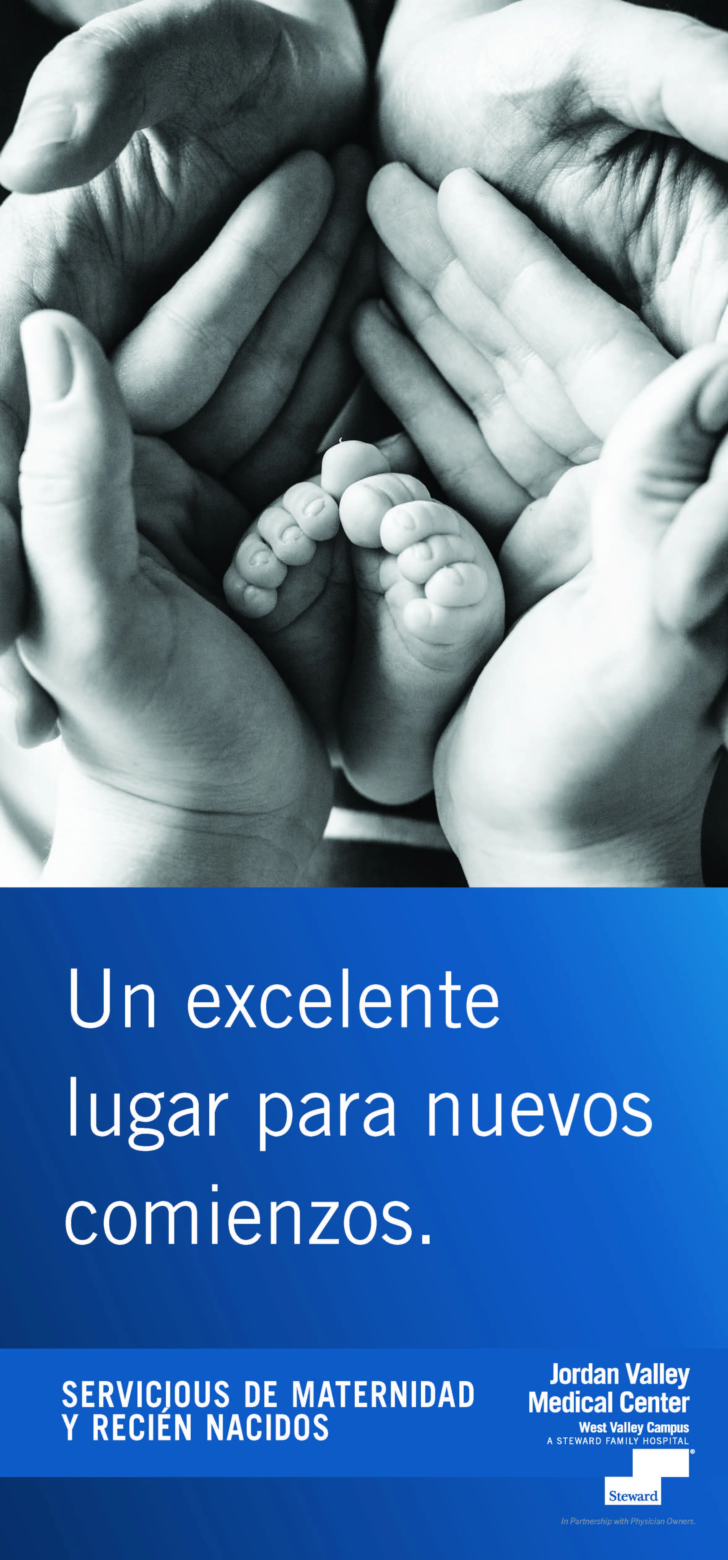 Steward Healthcare — Nick Engstrom Co.