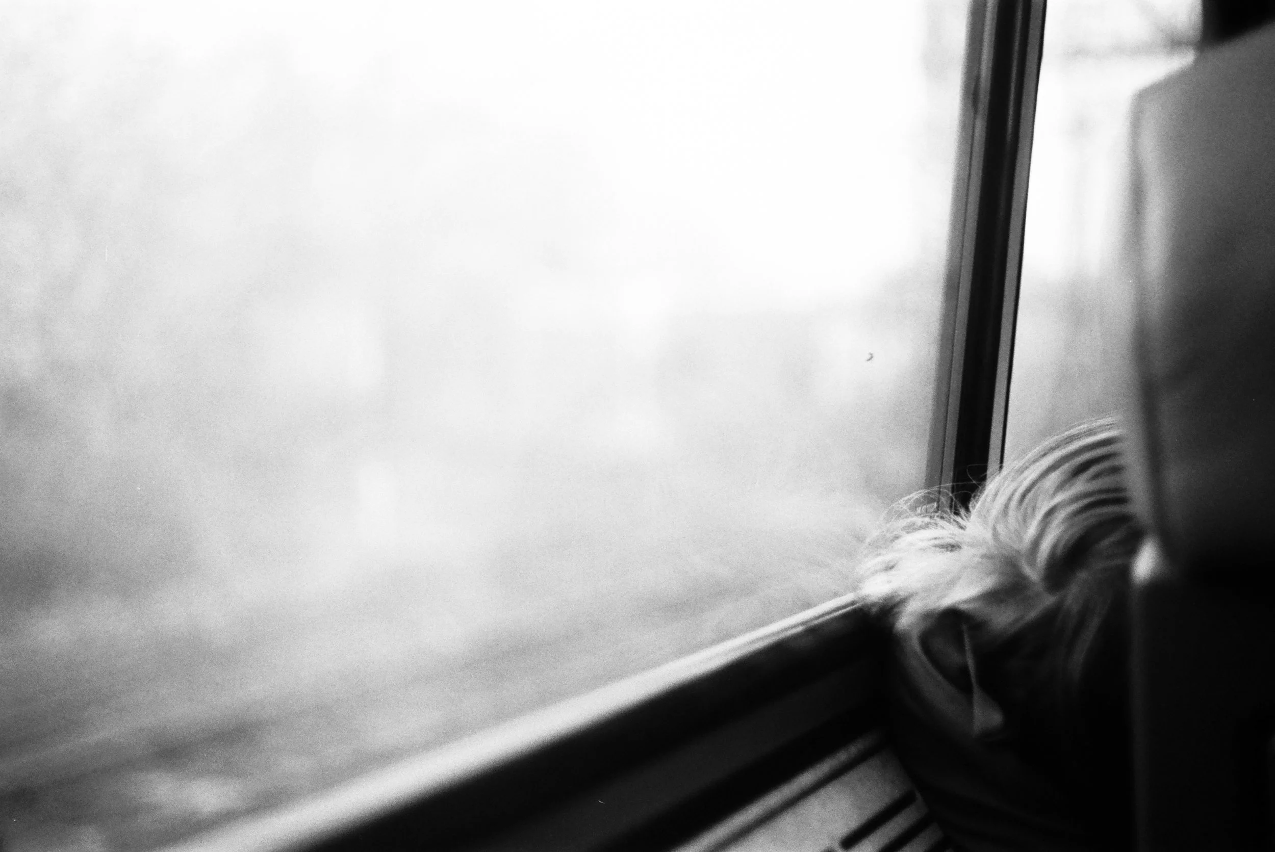 Photography — Derek Gripper