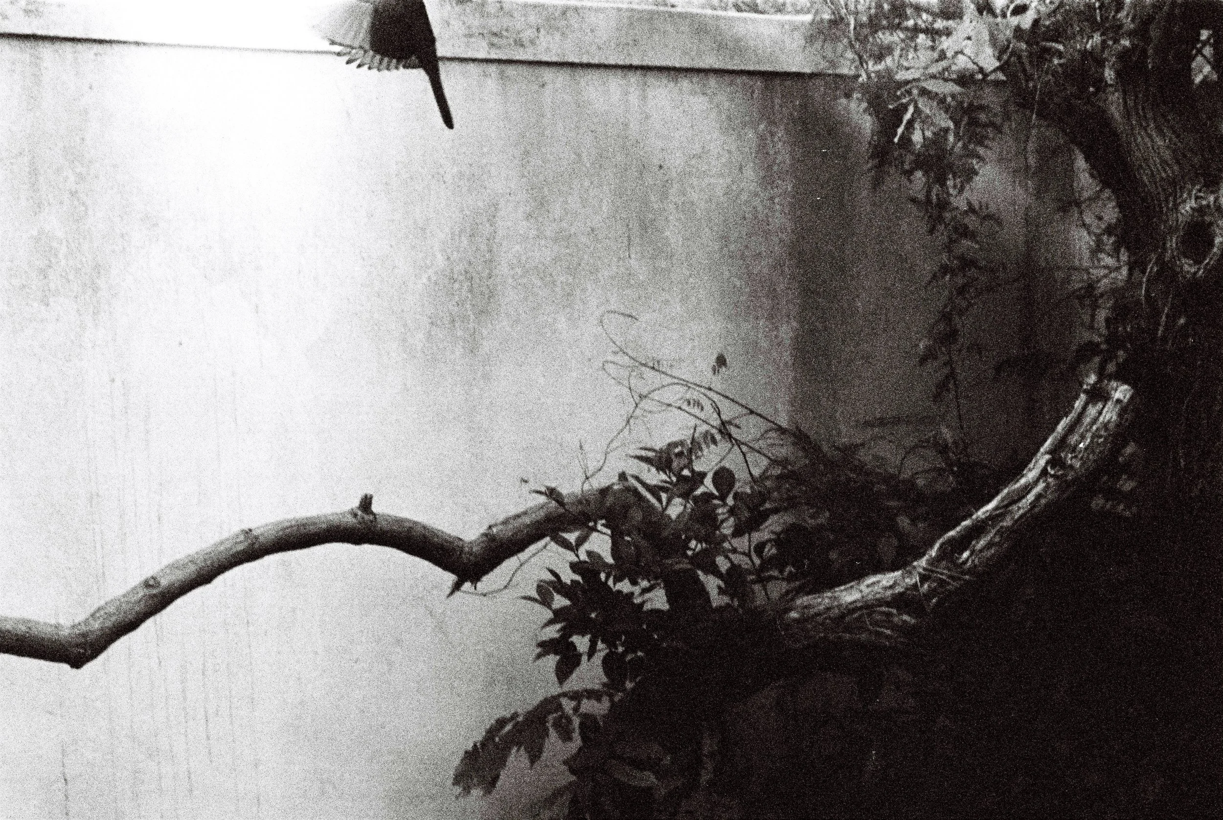 Photography — Derek Gripper