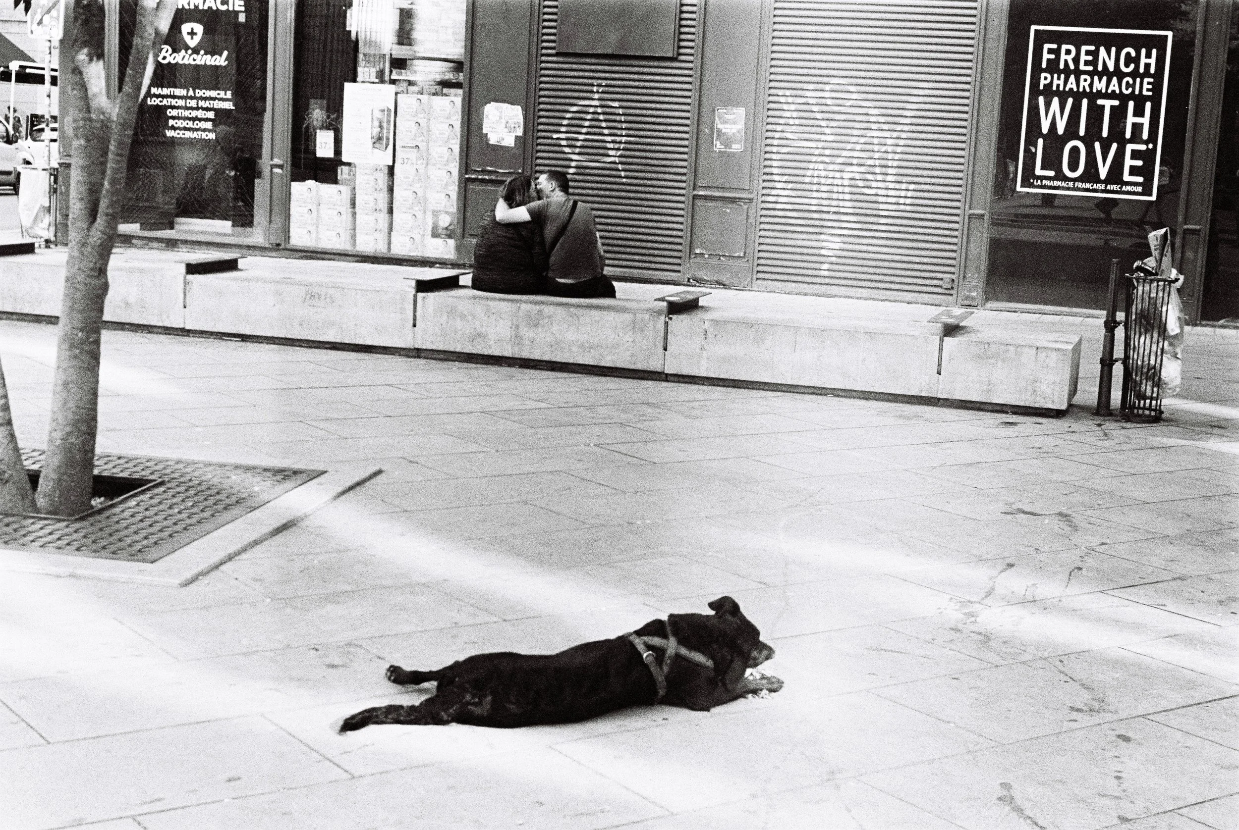 Photography — Derek Gripper