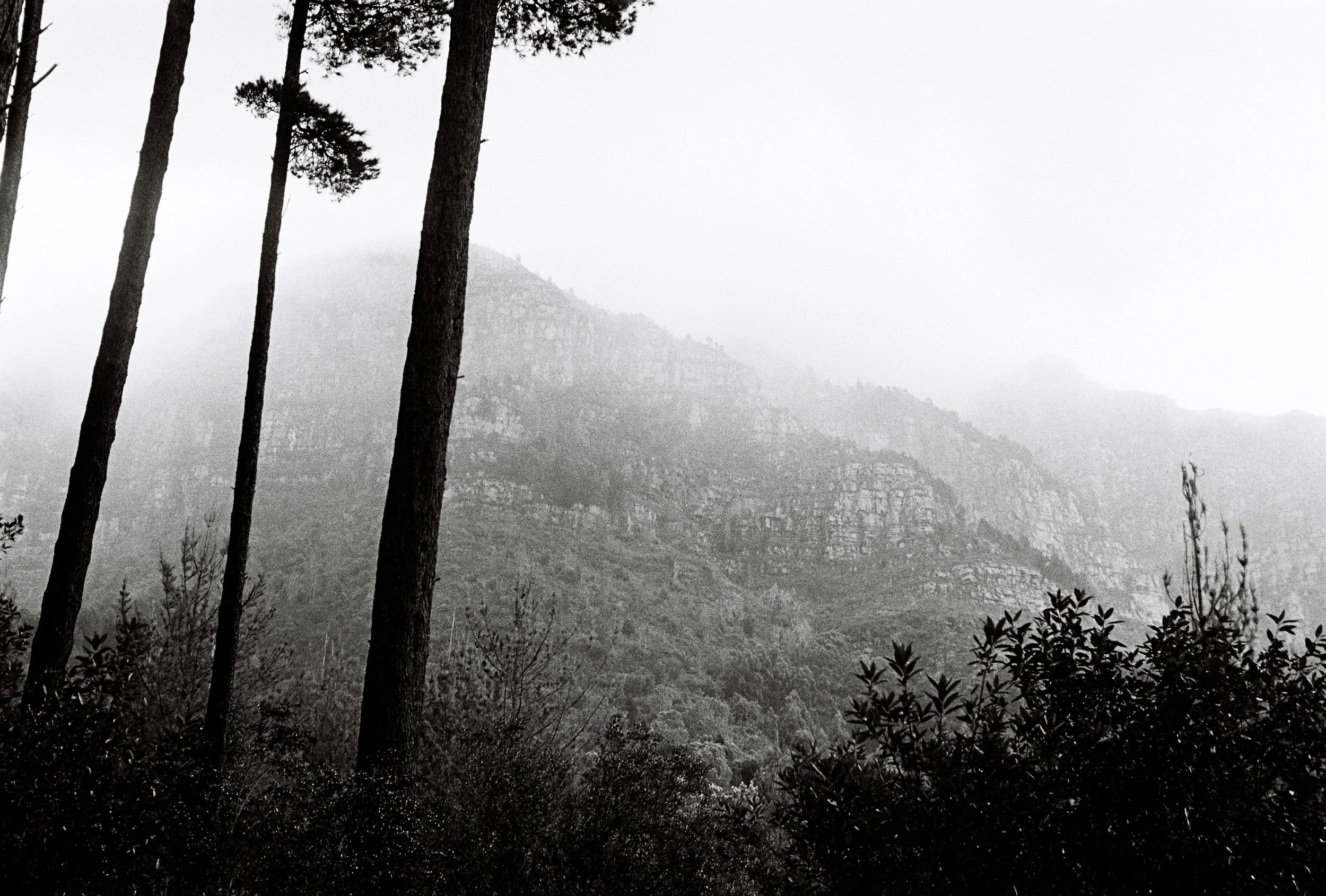 Photography — Derek Gripper