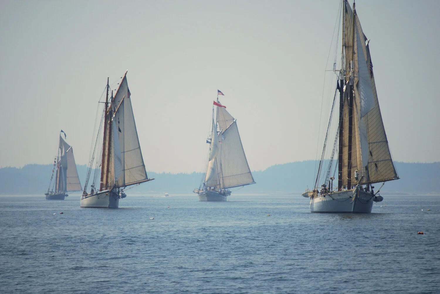 Fleet Trips — Schooner Stephen Taber