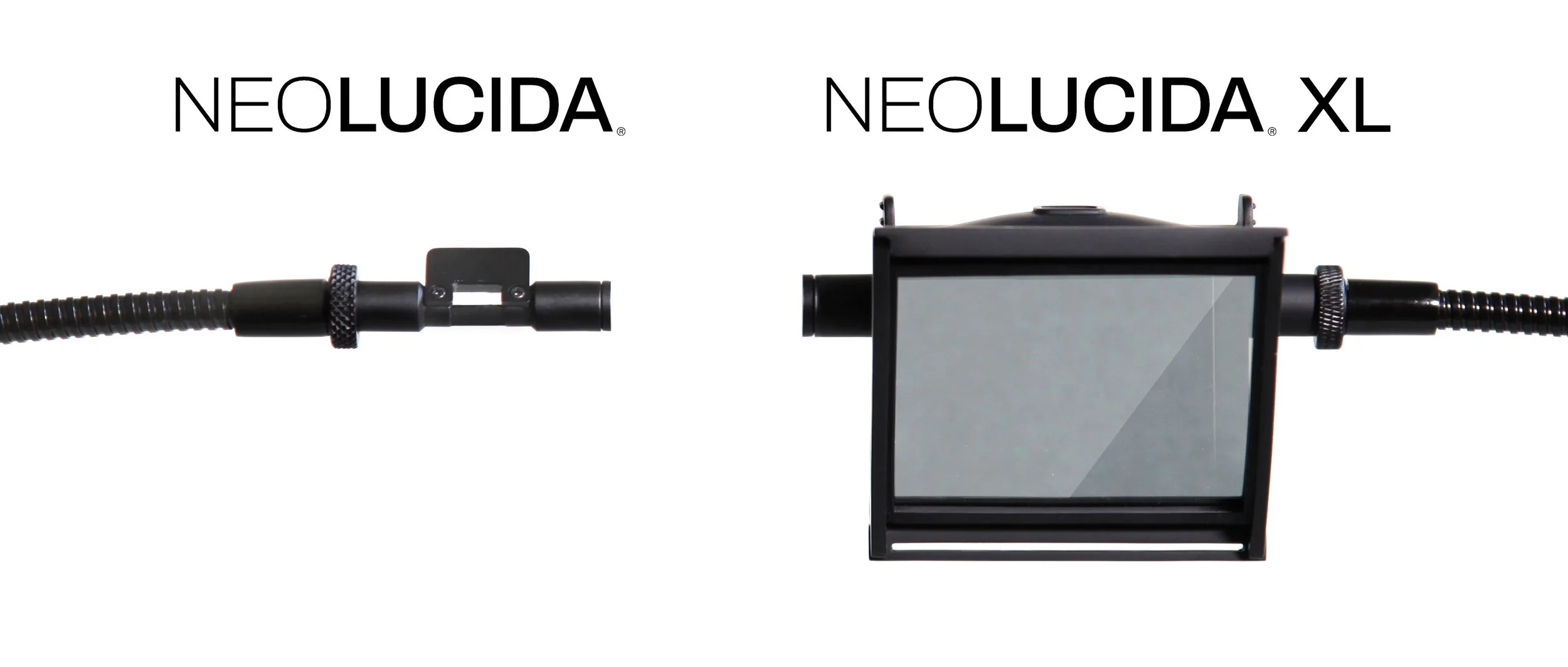 Choose — NeoLucida