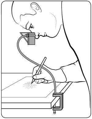 Using the NeoLucida — NeoLucida
