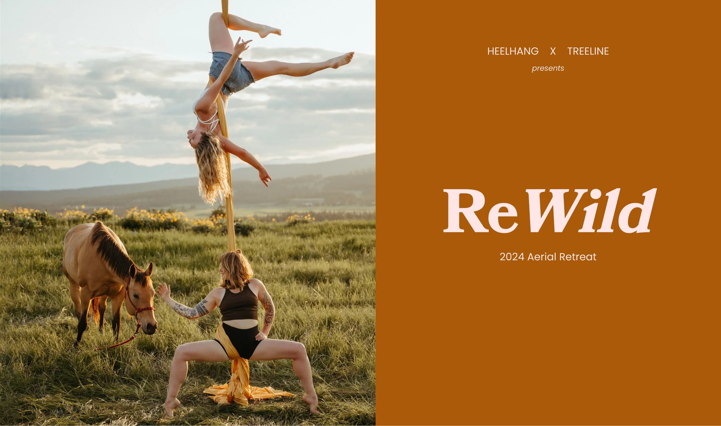 ReWild Aerial Retreat in the Mountains — Treeline Aerial