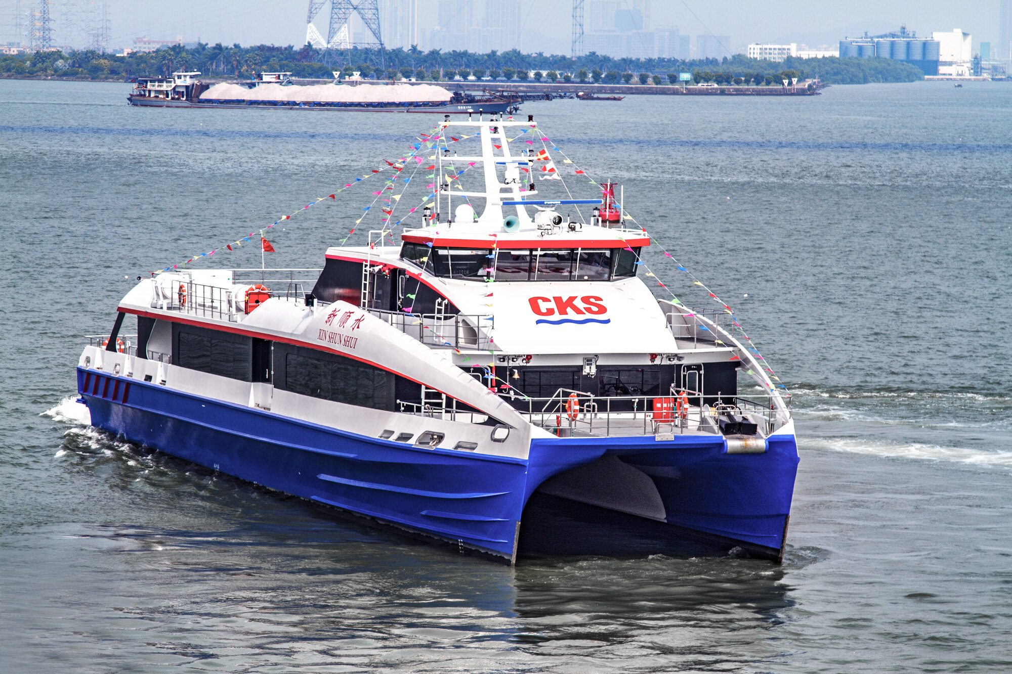 Chinese-Norwegian sisters delivered