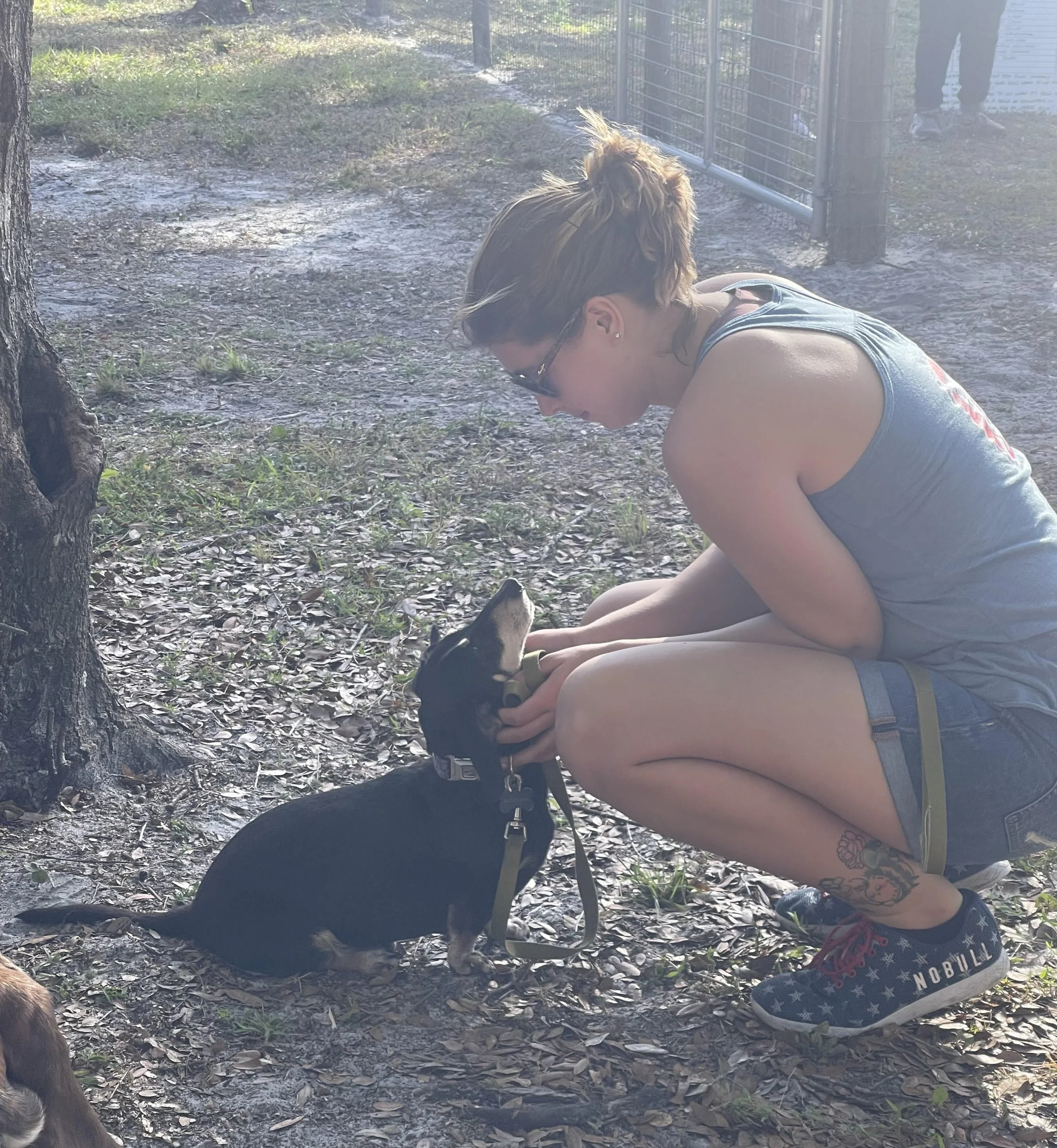 LDRC March Newsletter 2023 — LaBelle Downtown Revitalization ...