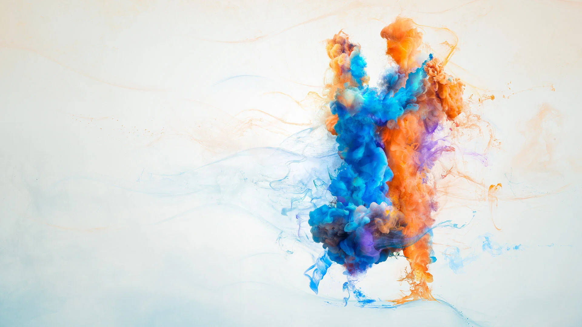 Ink Flow — TAYLOR JAMES