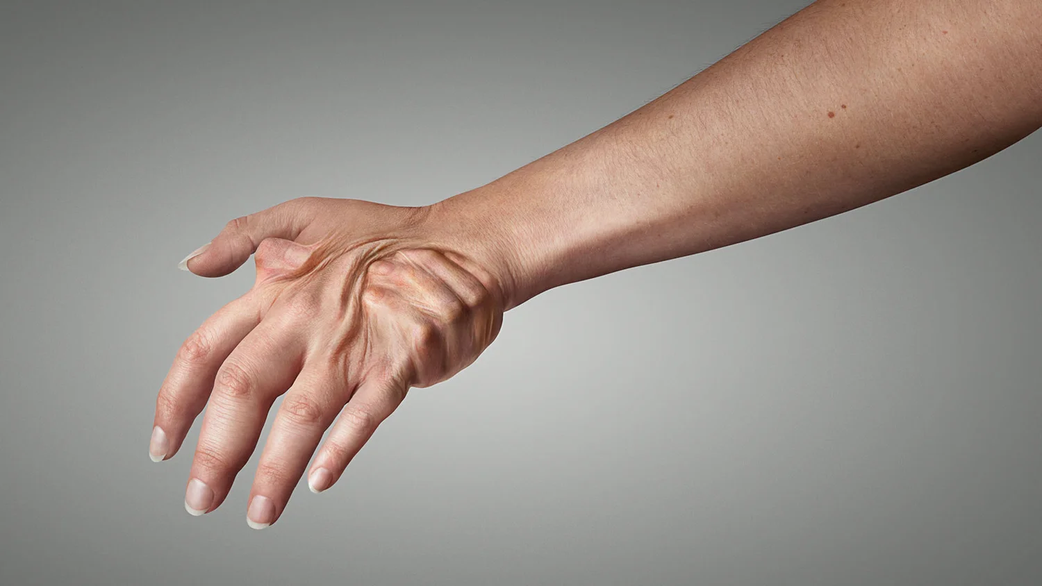 Kalbitor — TAYLOR JAMES