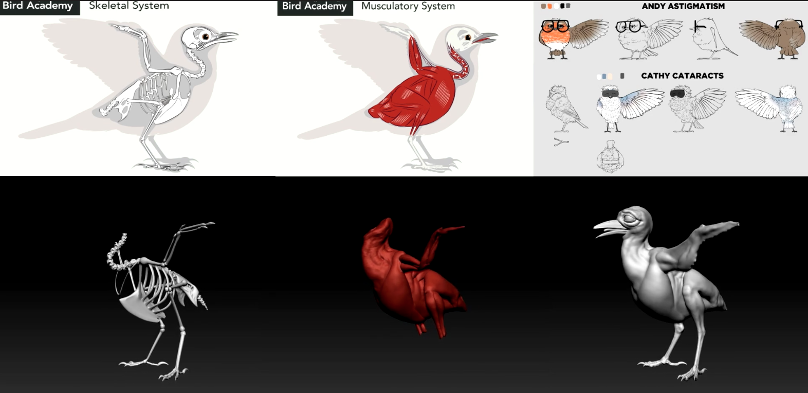 Alcon Birds — TAYLOR JAMES