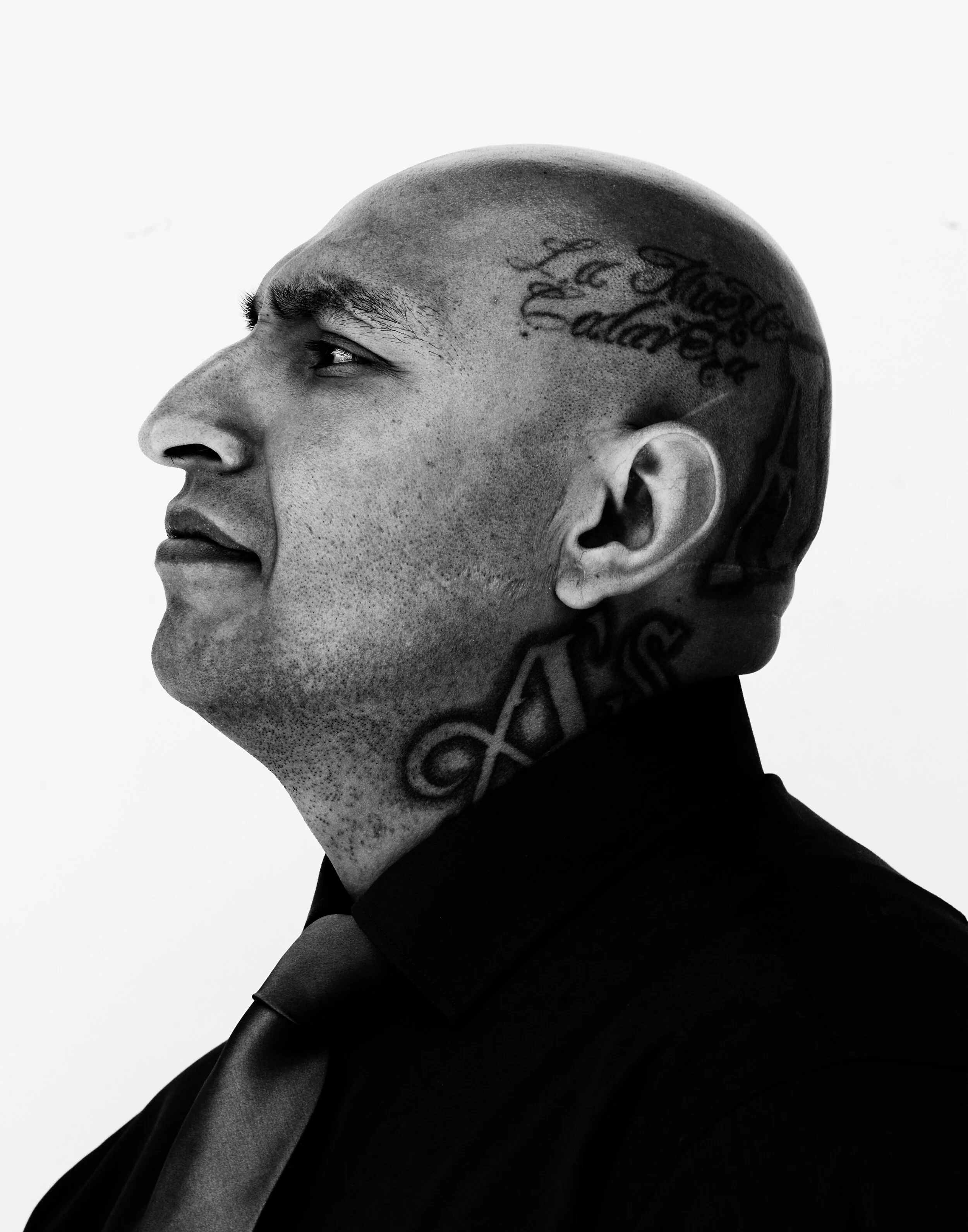 Portrait — PHIL KNOTT