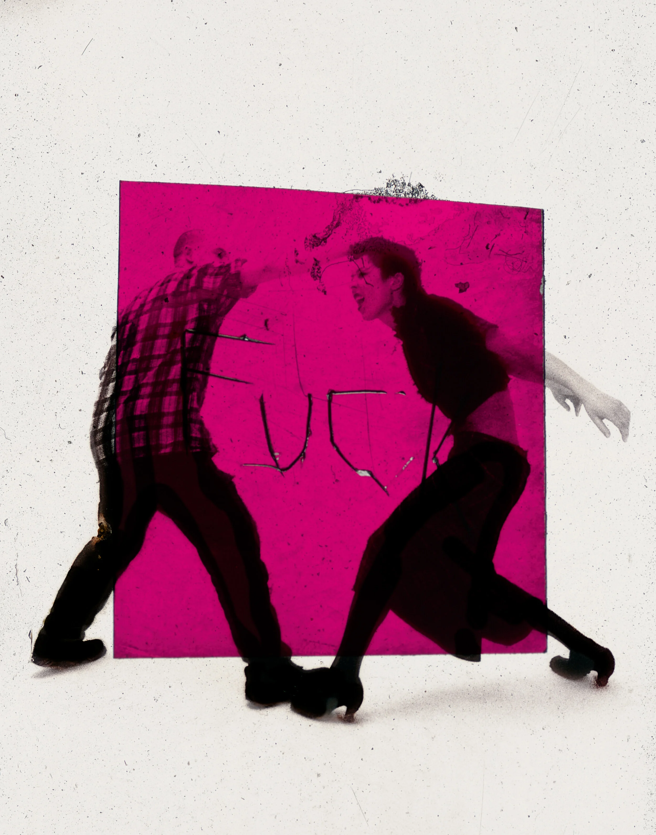 Portrait — PHIL KNOTT