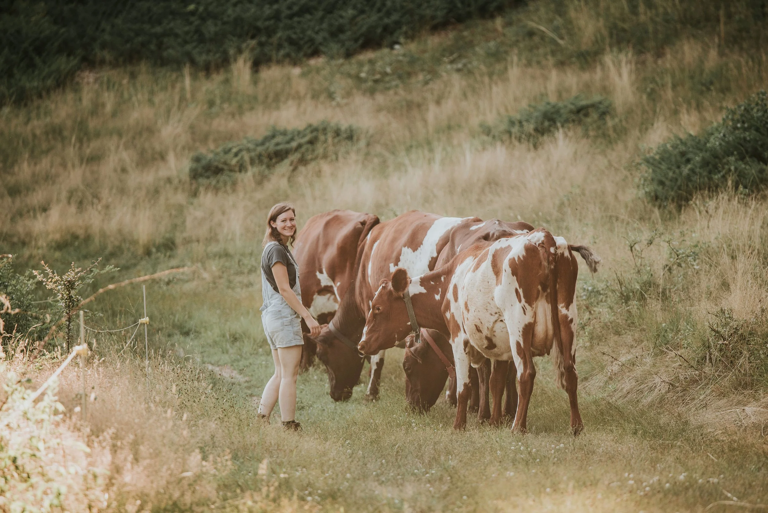 Maplebrook Farmstead