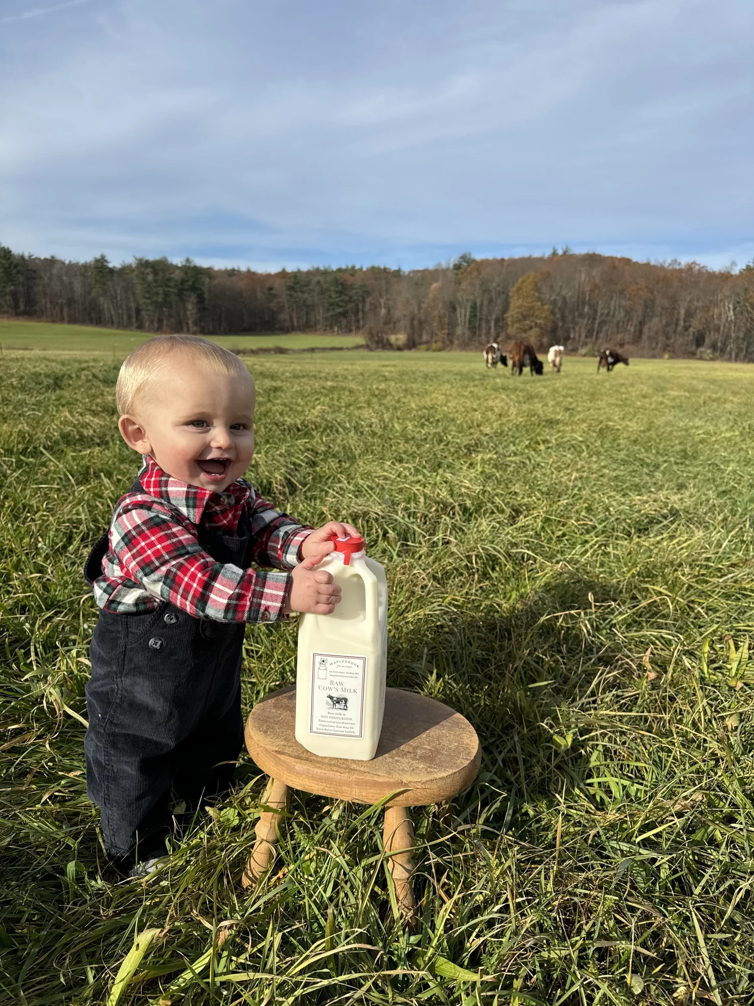 Raw Milk — Maplebrook Farmstead