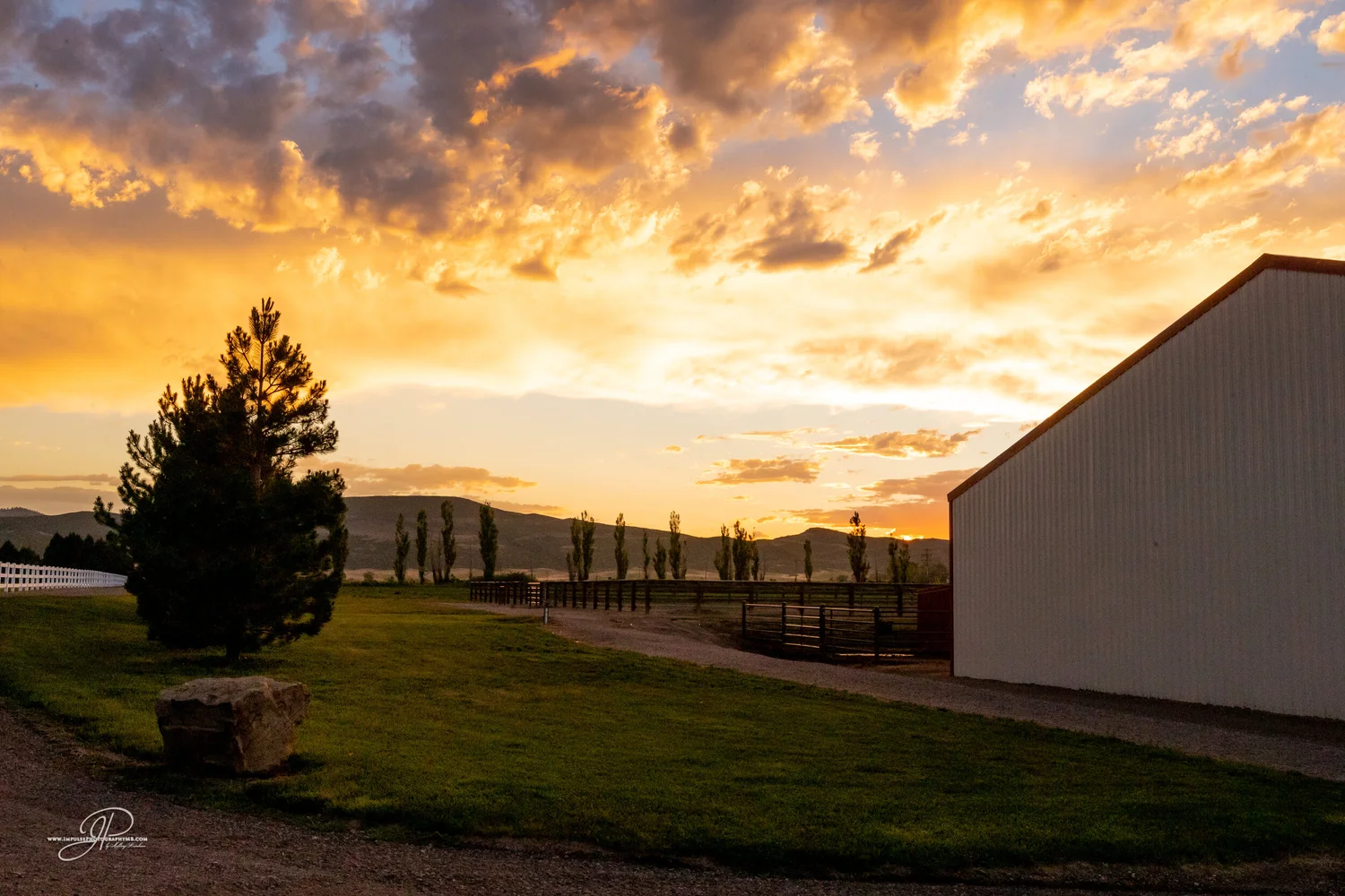 Facilities — Ryan Rushing Performance Horses
