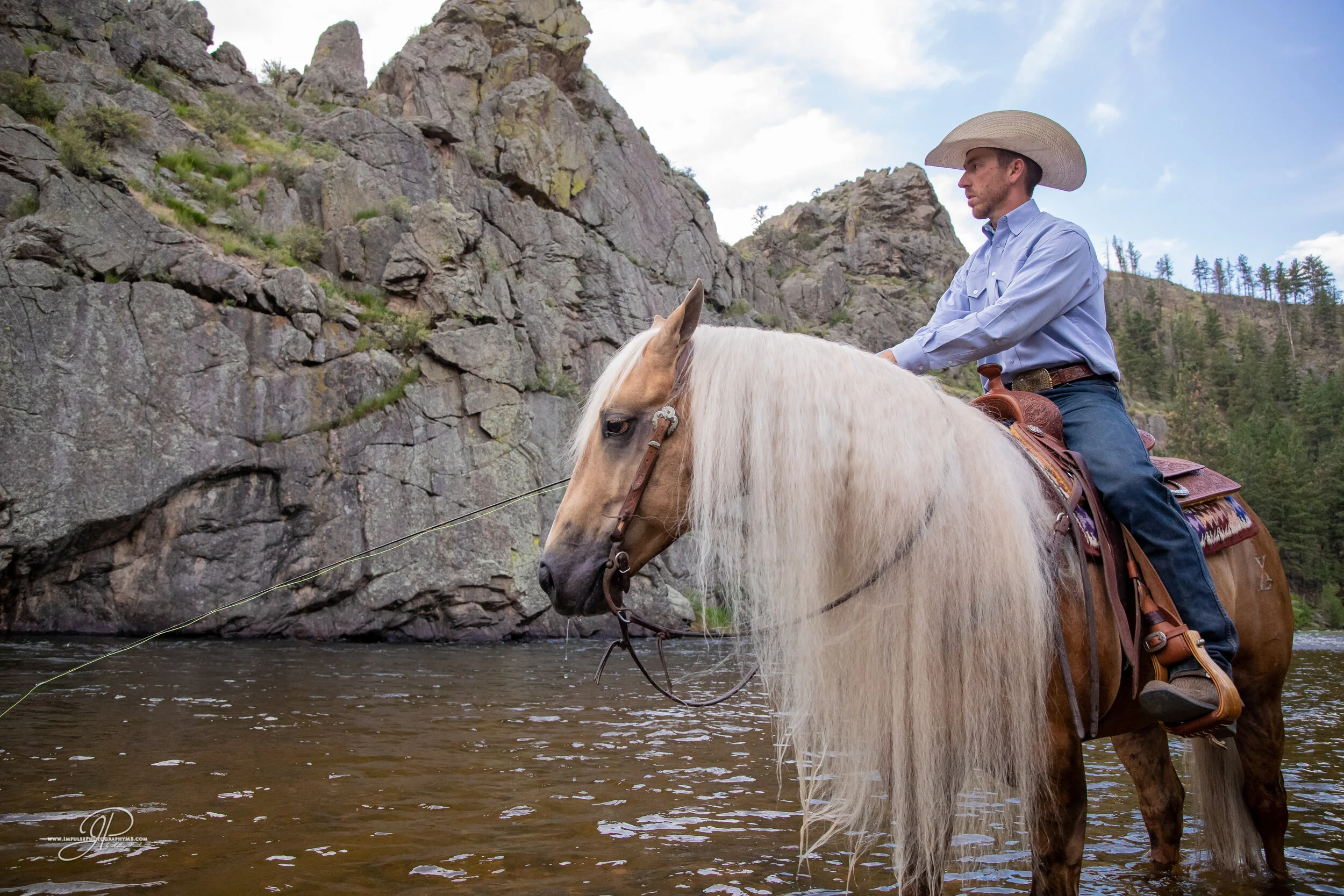 Contact Us — Ryan Rushing Performance Horses