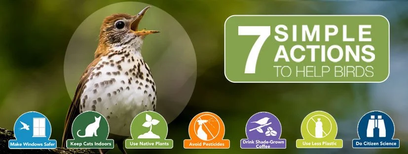 How To Help Birds — Monterey Audubon Society