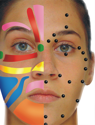 Face Reflexology