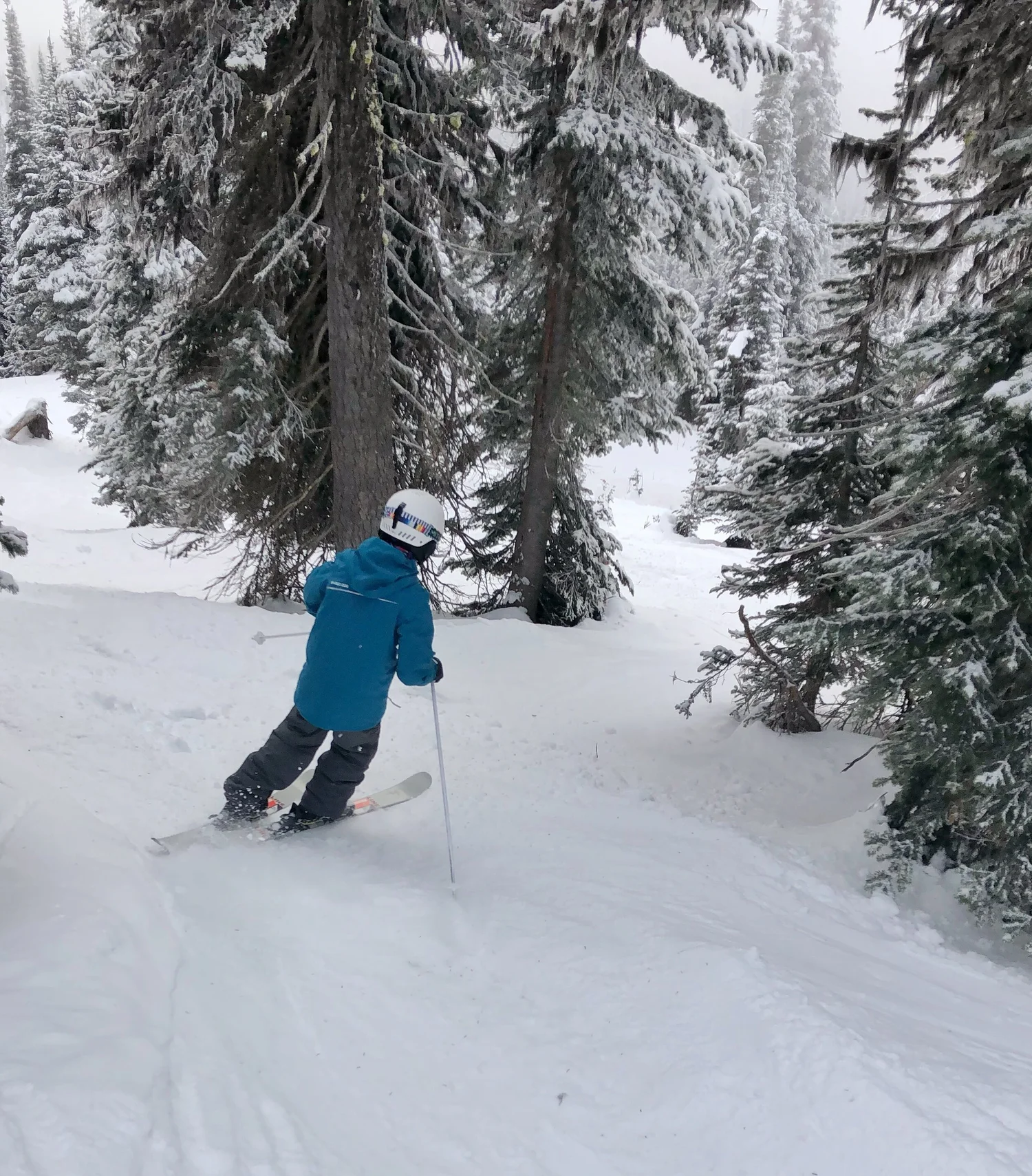 Shred Dog Gear Review — Raising Lil' Rippers