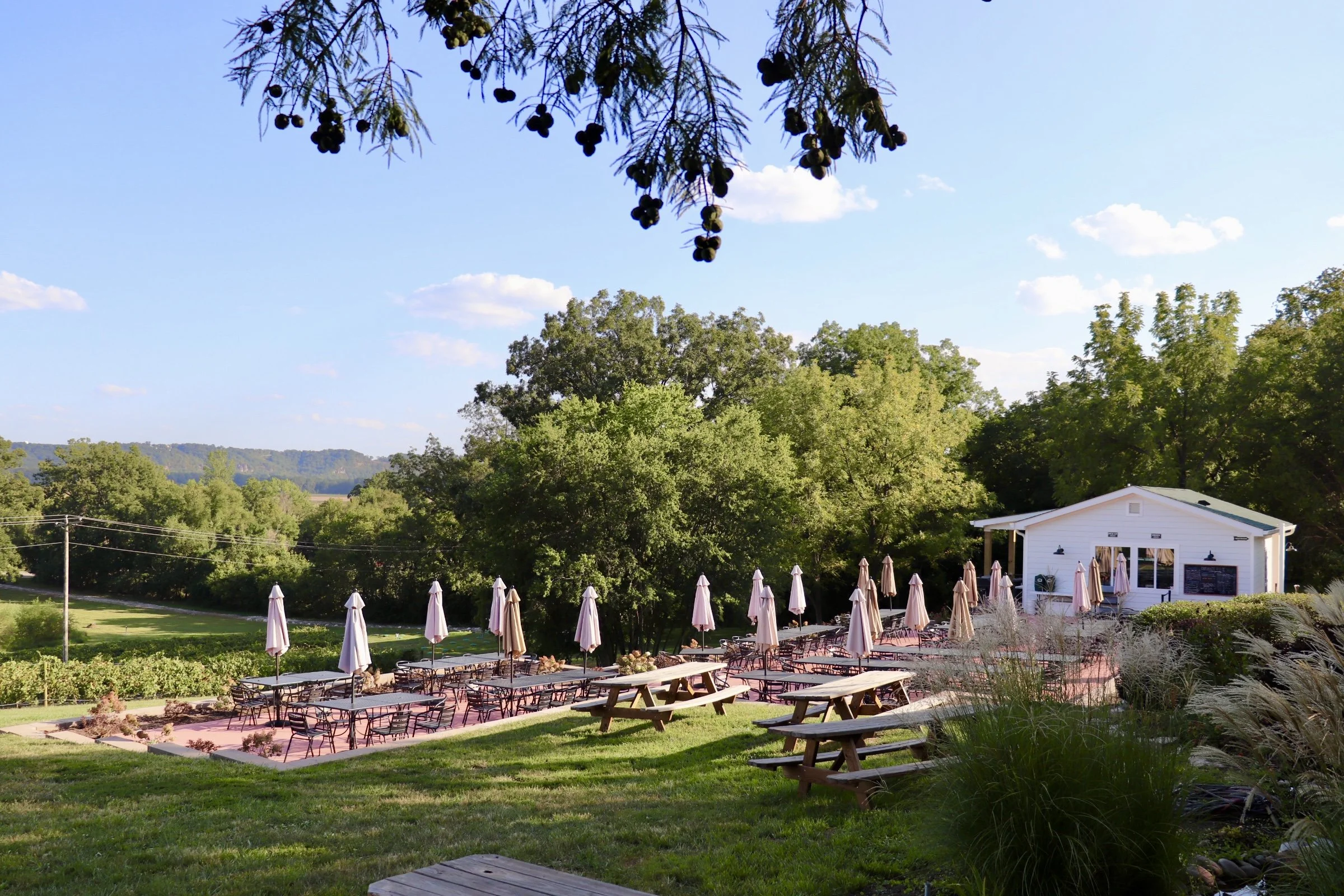 Defiance Ridge Vineyards