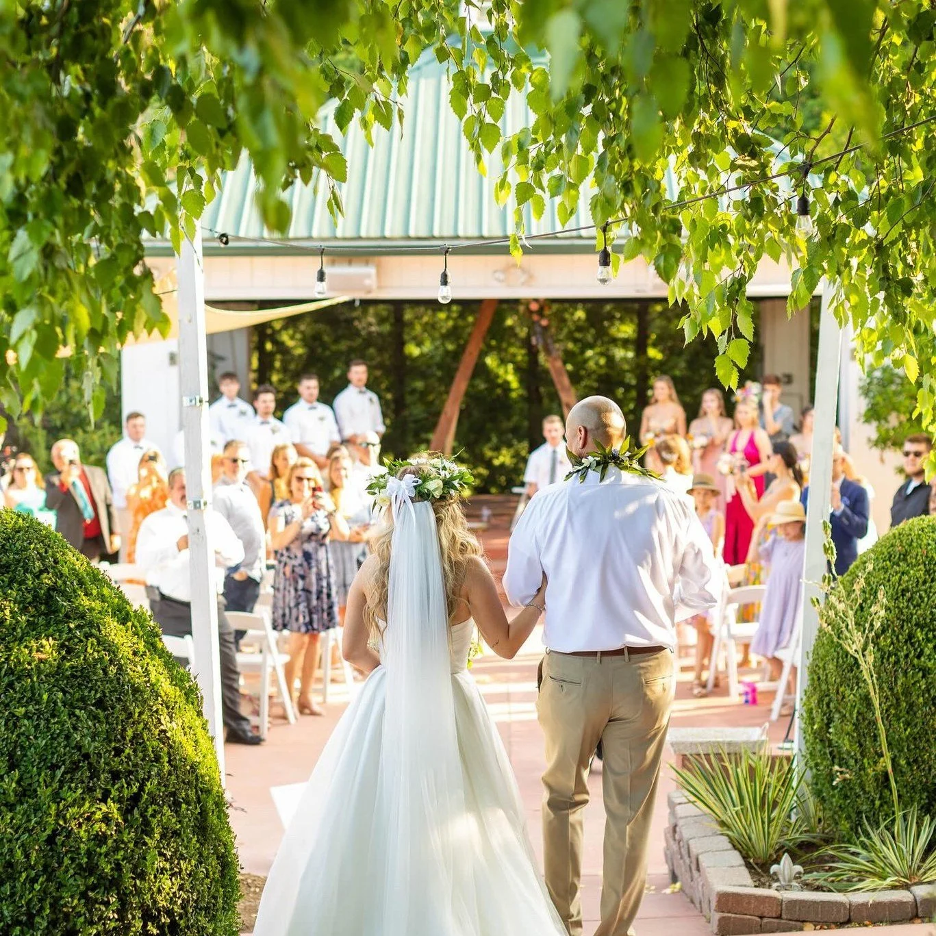 Defiance Ridge Vineyards