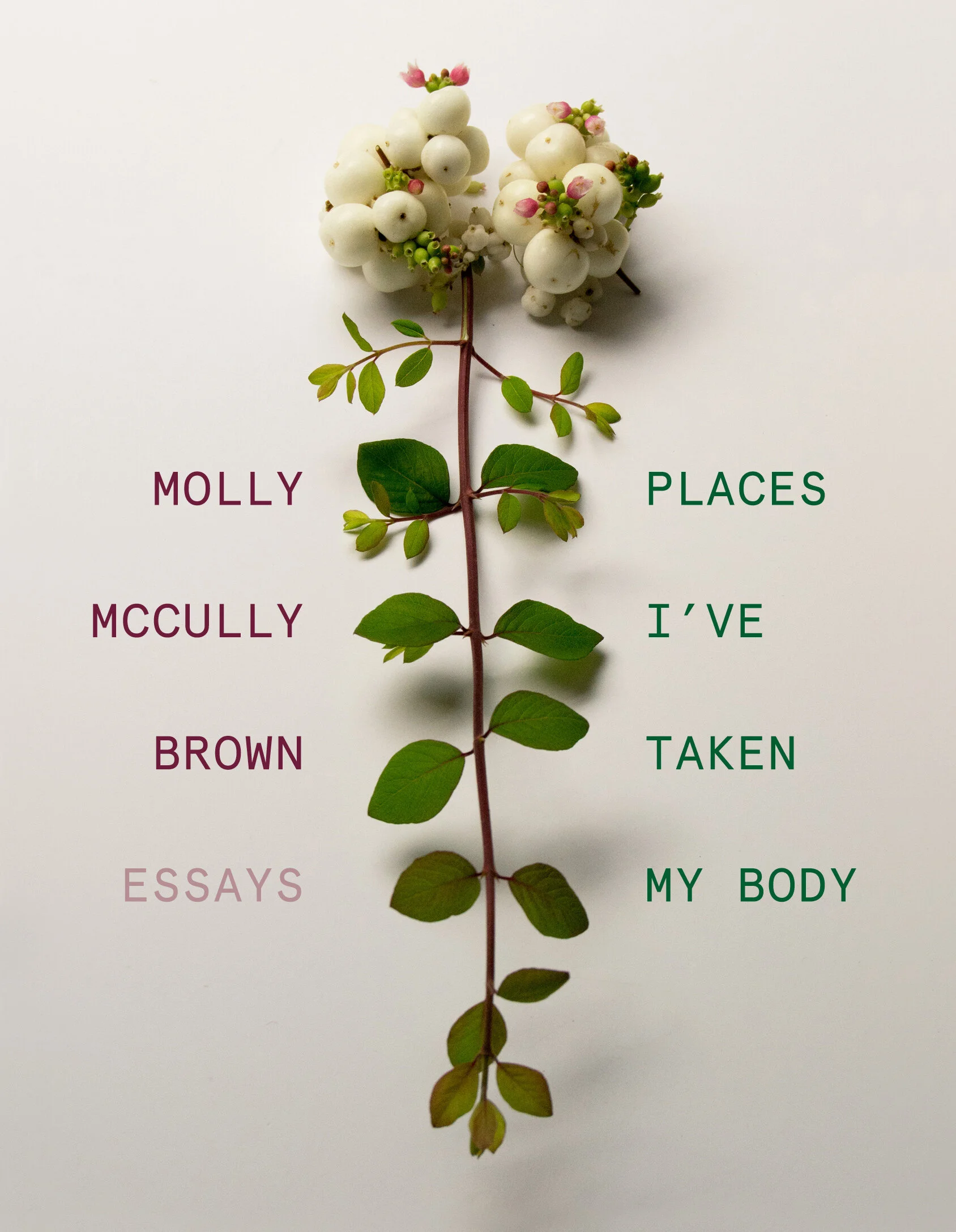 Molly McCully Brown — The Shipman Agency