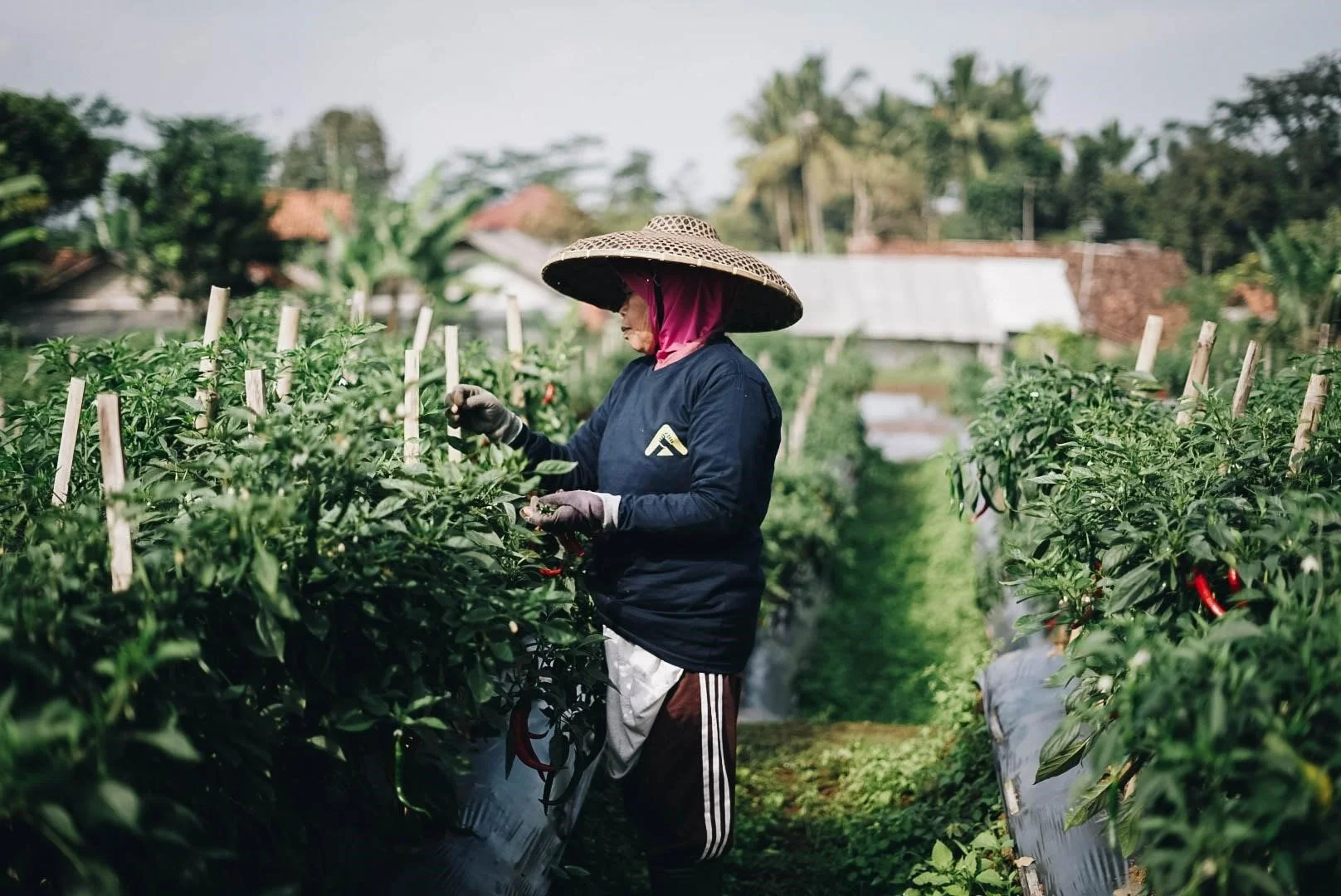 Good Return’s Impact Investment fund — Good Return