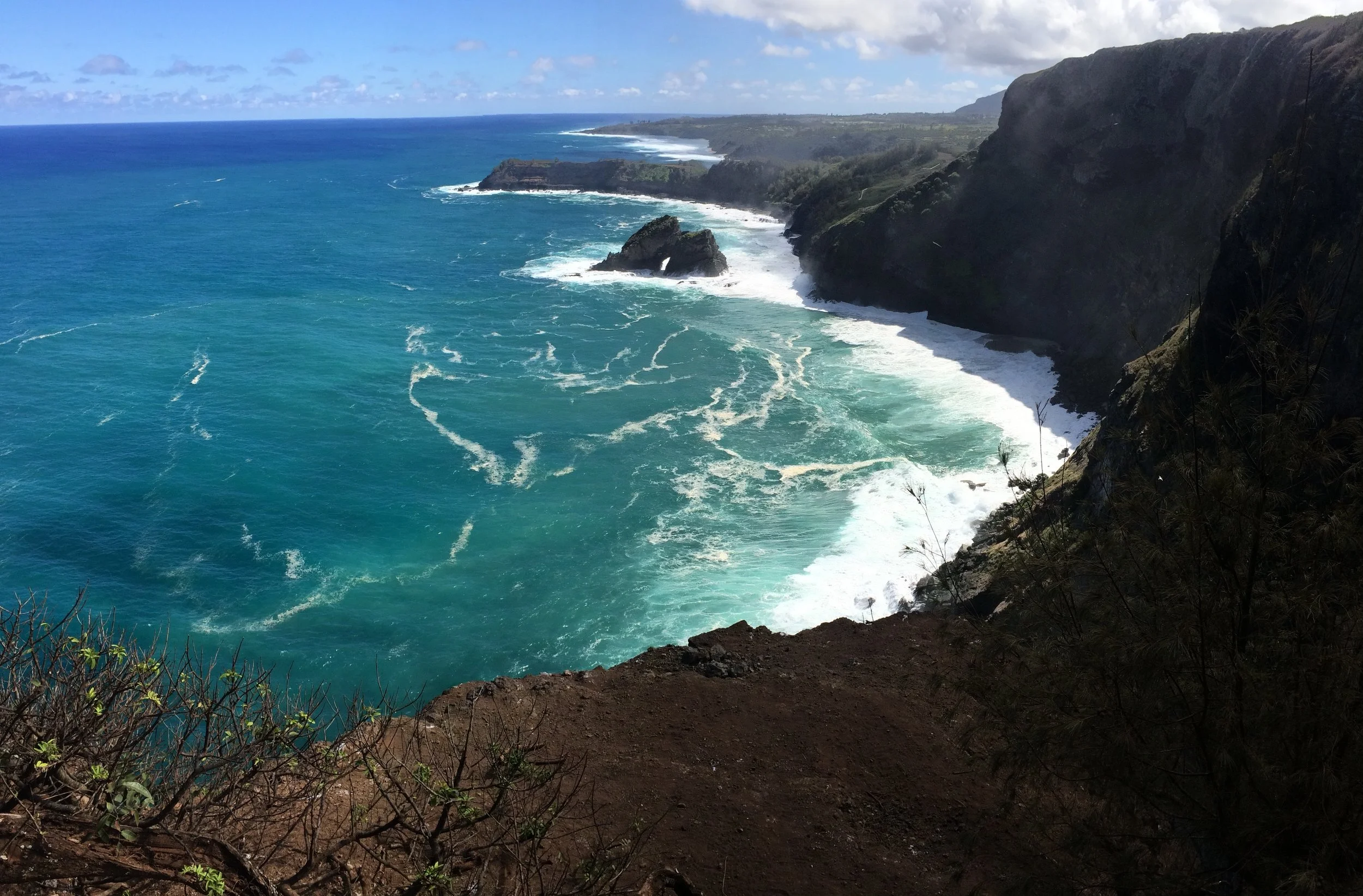 contact — fiona noonan