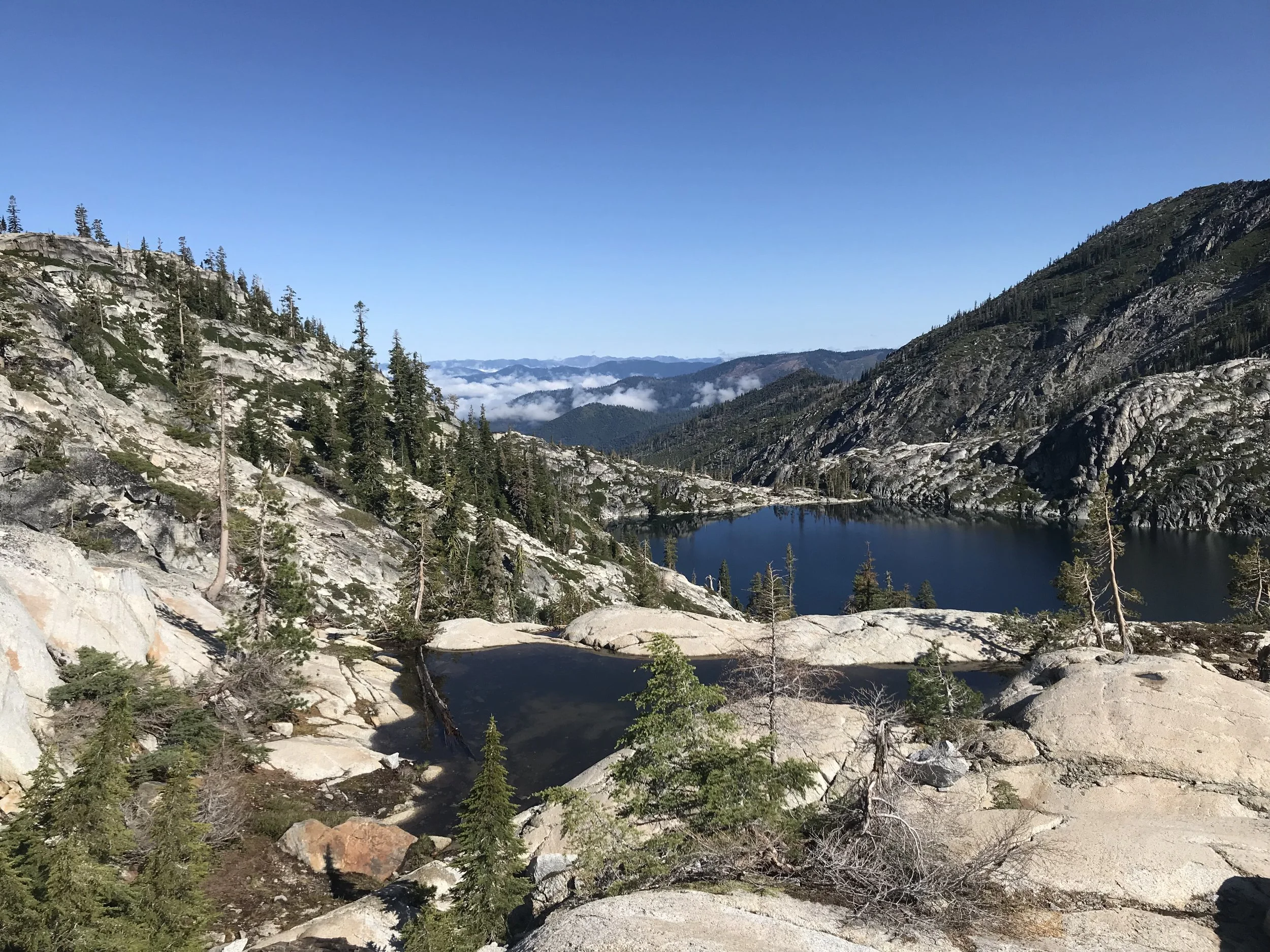 contact — fiona noonan