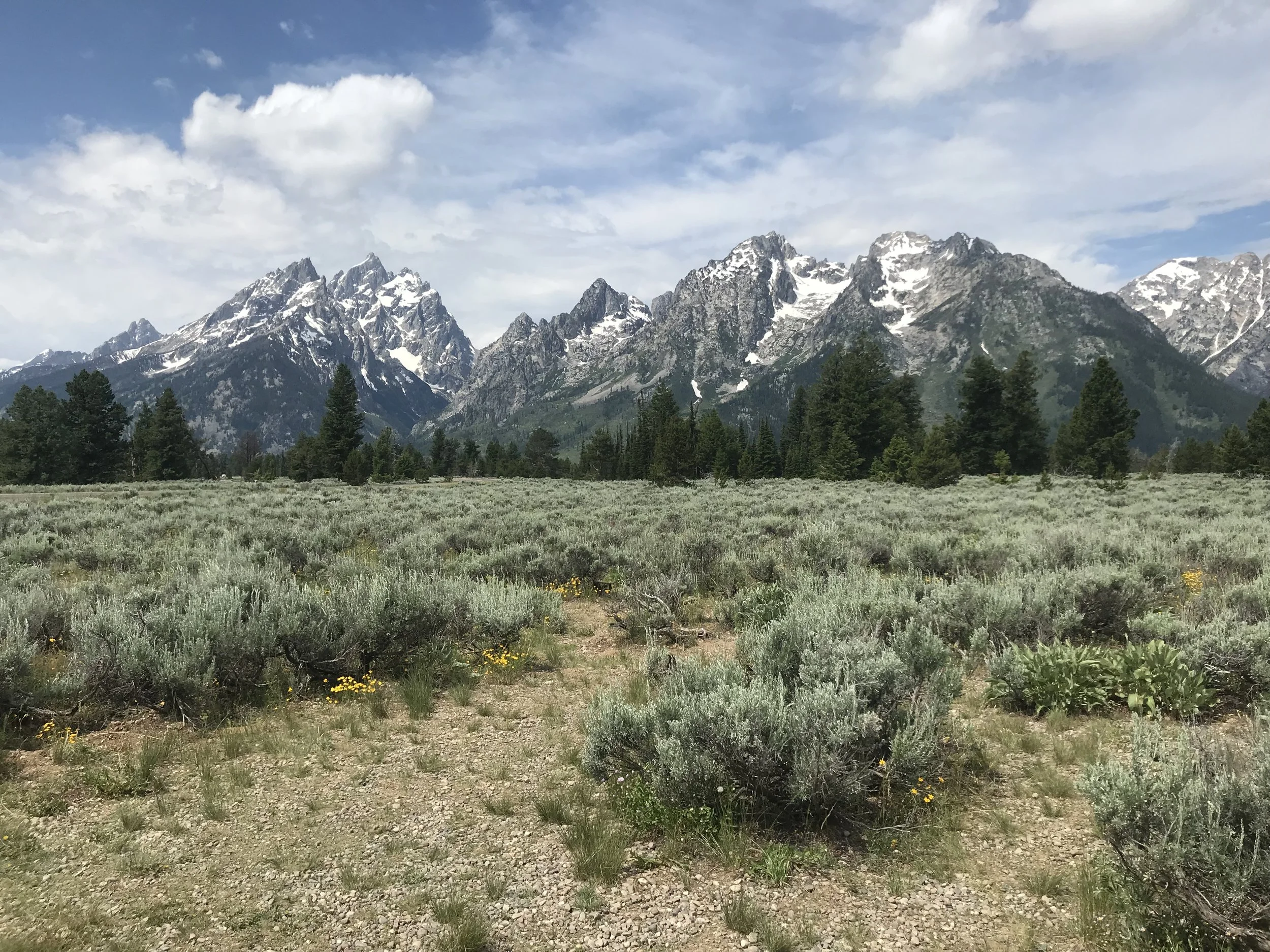 contact — fiona noonan