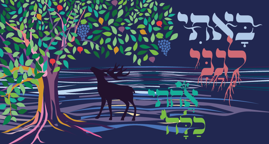 The Colorful Parochet — Chana Gamliel