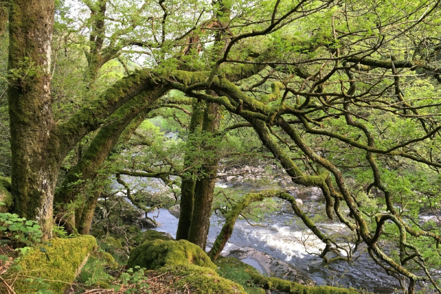 ABOUT — CHANGE IN NATURE